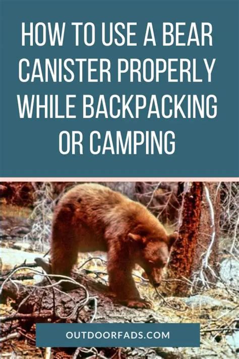 How To Use A Bear Canister Properly While Backpacking Outdoor Fads