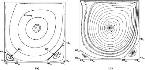 Critical Points In The Lid Driven Cavity Flow For Download