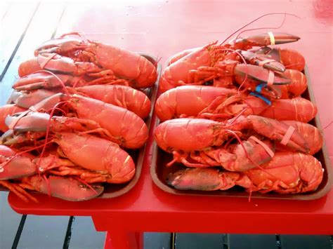 15 Best New England Lobster Shacks