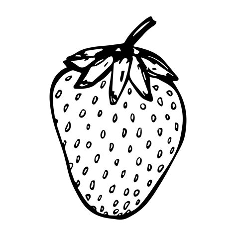 Vector Strawberry Clipart Hand Drawn Berry Icon Fruit Illustration