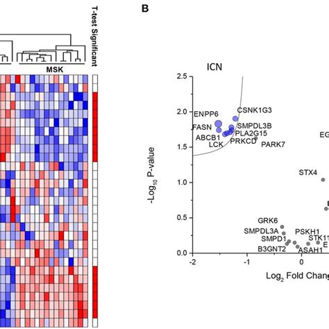 Proteomic Profile A Heatmap Of The 29 Proteins Associated To