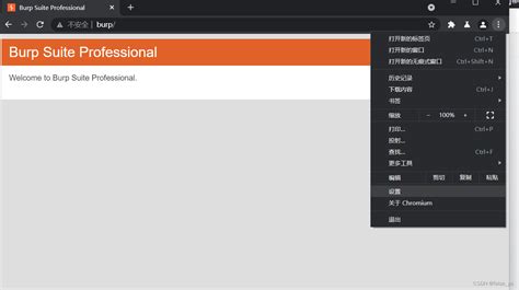 用burpsuite实现在谷歌中对百度抓包burp抓包谷歌浏览器 Csdn博客
