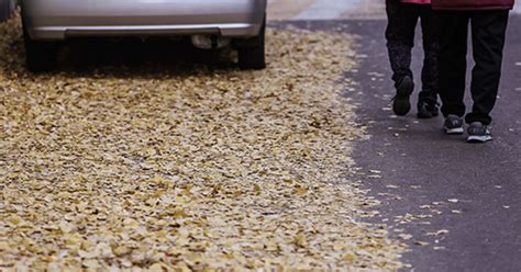 “수험생들 우산 챙기세요” 오늘날씨 서울·인천·경기 오후 비 일교차 10~15도