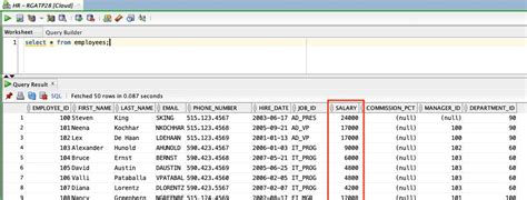 Oracle Data Masking Hide Information From Users With An Easy To Use VPD Pretius