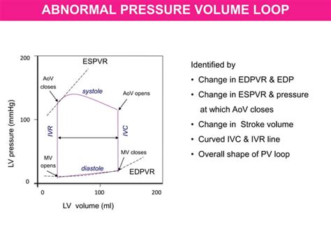 Ventricular Pv Loop 2019 Pptx Heart And Cardiovascular Diseases Diseases And Conditions