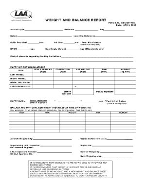 American Flyers Performance Data Sheet Blank Fillable Template Fill