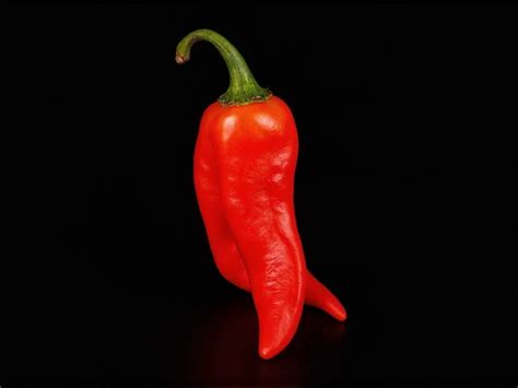 Ghost Pepper Scoville Scale Heat Facts And Safe Usage