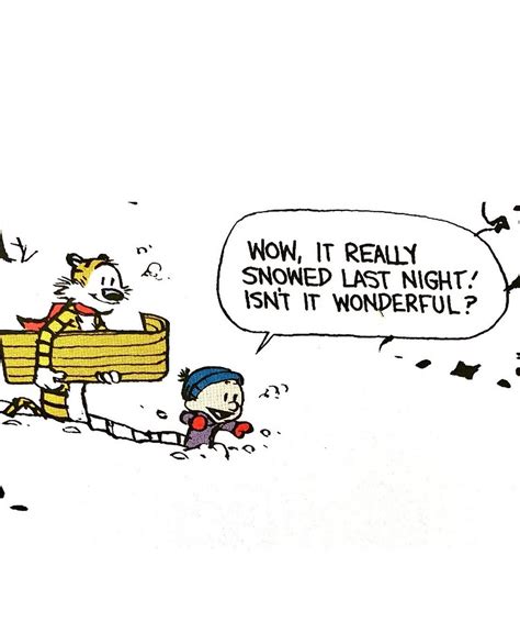 Calvin And Hobbes Calvinhobbes Calvin • Instagram Photos And Videos
