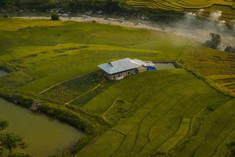 강둑 경작 계단식 논 고요한 고향 공중 영상 관개 녹지 논 농경지 농부 농업 농장 농지 농촌의 드론