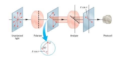 Solved In The Polarizer Analyzer Combination In The Drawing