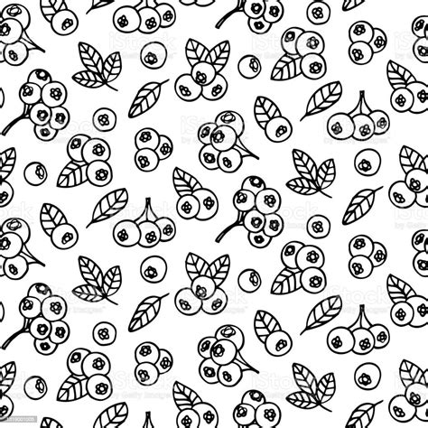 블루베리와 잎이 있는 매끄러운 패턴 그래픽 핸드 그린 인그레이빙 스타일 포장 메뉴 카드 포스터 인쇄를위한 낙서 그림 건강한