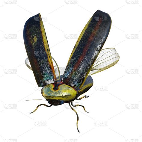 3D渲染闪电错误的白色