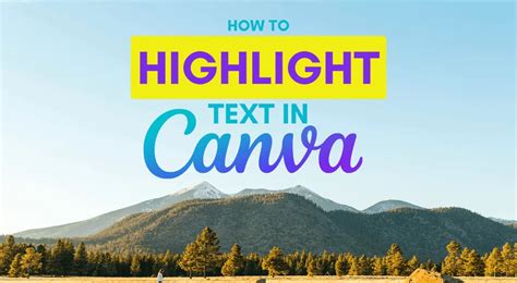 How To Highlight Text In Canva In Easy Ways