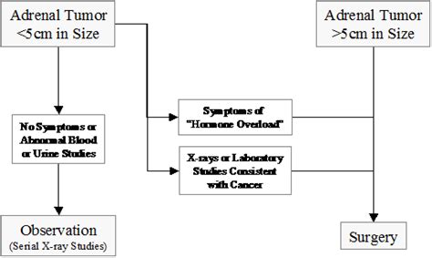 Adrenal Gland Tumor Symptoms