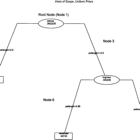 Complete Classification Tree Of Iris Species Generated From Rpart