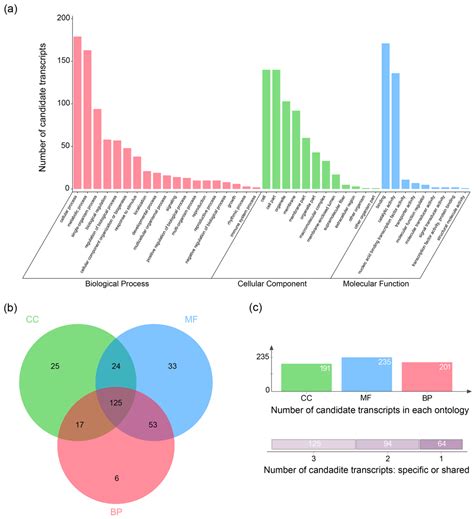 Plants Free Full Text Transcriptome Wide Identification And