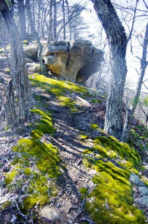 Narrow Paths Across Seemingly Impossible Pinnacles My Nerves Got Shaky My Knees Weak Thoughts