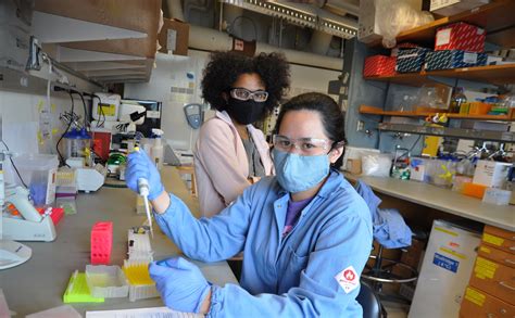 Homepage Mit Department Of Biology