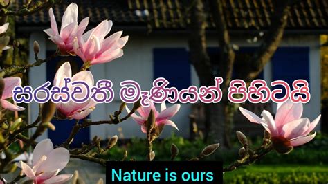 සරස්වතී මෑණියන් පිහිටයි Youtube
