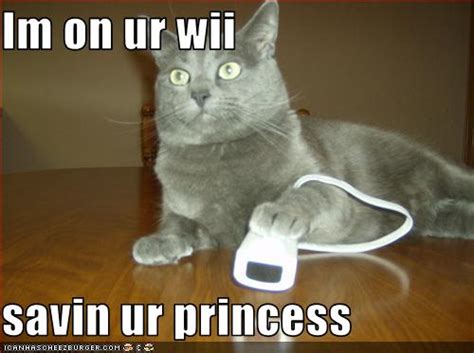 Lolcat 6 By Pristichampsus On DeviantArt