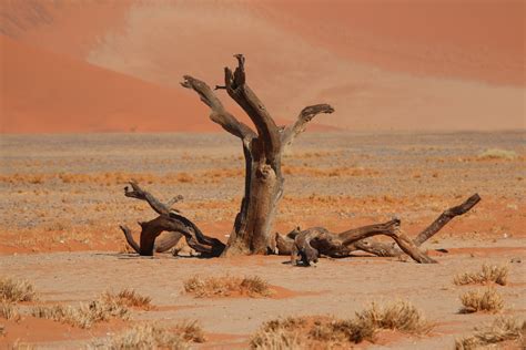 Signs Of Soil Contamination Alpha Environmental