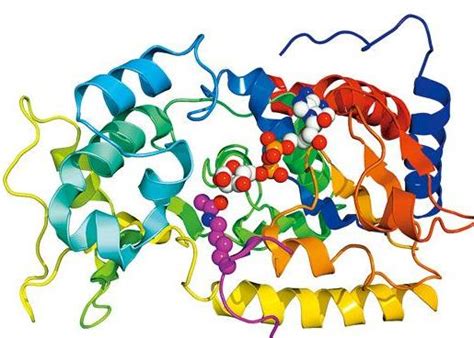 酶（休闲） 搜狗百科