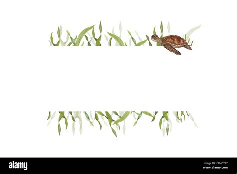 Turtle Invitation Border