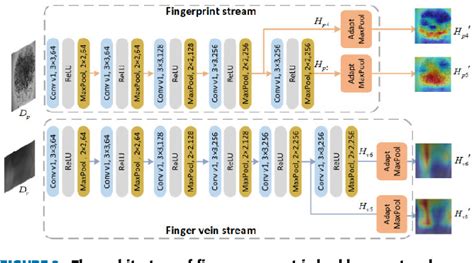 Figure 2 From Multimodal Finger Recognition Based On Asymmetric Networks With Fused Similarity