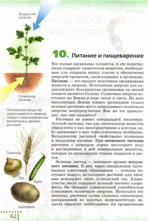 Учебник биология 6 класс Сонин с белочкой читать онлайн