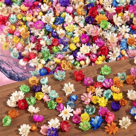 280pcs Small Dried Flowers For Crafts Colorful Real Natural Mini Dried