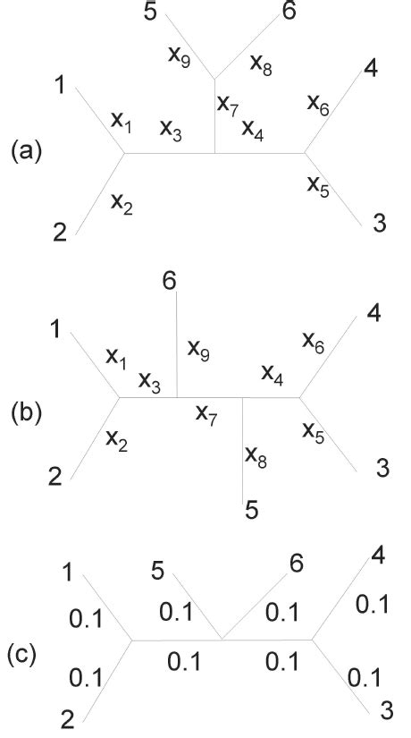 Two Contrasting Topologies A And B With Six OTUs Together With A Download Scientific
