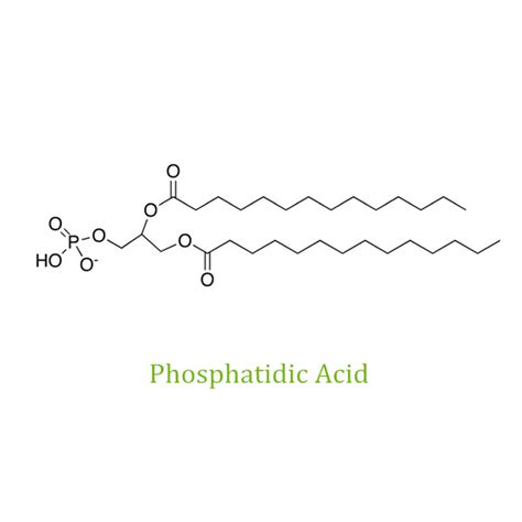 Supplier Of Phosphatidic Acid Henan Steeda