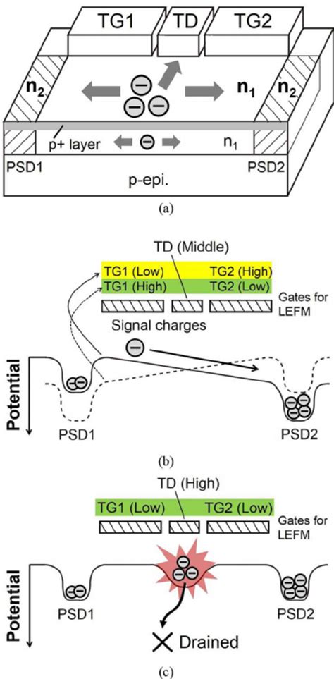 Developed Two Tap Cmos Lock In Pixel For Time Resolved Imaging A Download Scientific Diagram