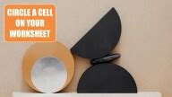 Circle A Cell On Your Worksheet Excel Tips MrExcel Publishing