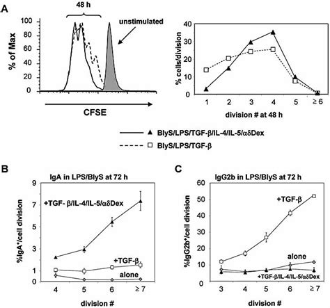 Stimuli That Enhance Iga Class Switching Increase Histone 3 Acetylation
