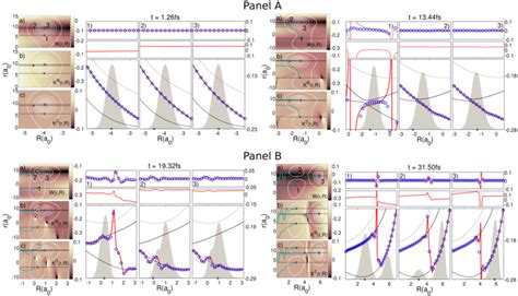 PANEL A Nuclear Dynamics Before The Splitting Of The Probability Download Scientific Diagram