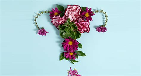 Hysterosalpingogram Hsg Test In Dehradun Sikund Diagnostic