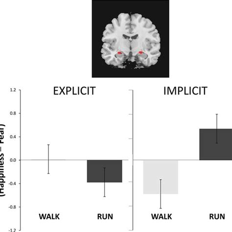 Functional Connectivity Of The Amygdala After Acute Exercise Running Download Scientific