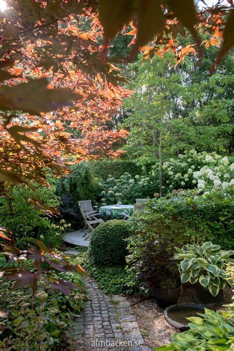Pin di Lynne Rosenthal su Sarah new home | Giardino, Idee