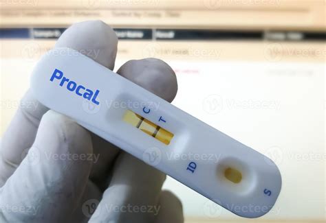 Test Device Or Cassette For Procalcitonin Test Showing Positive Result Rapid Screening Test