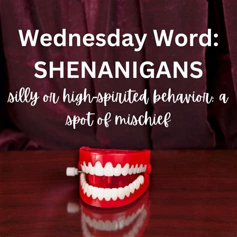 The Book Rack This Seemed Appropriate This Week Facebook