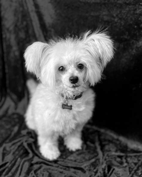 Eevee P Nationaltheatret