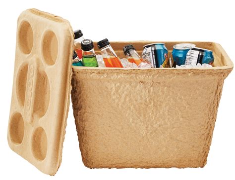 Igloo Recool Biodegradable Cooler 34 Kg 15 L Brown Canadian Tire