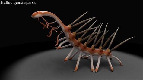 Hallucigenia Alchetron The Free Social Encyclopedia