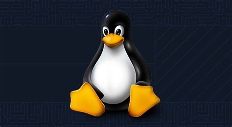 Linux Fundamentals Course Htb Academy