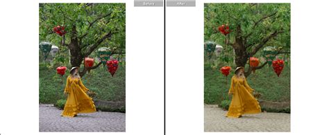 Thoughts On These Before And After All Been Edited In Lightroom I Am