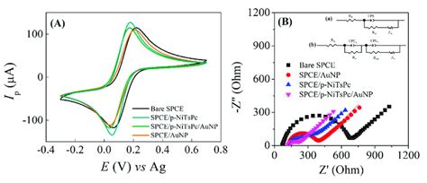 A Cyclic Voltammogram At 50 Mv S And B Nyquist Plot Complex Plane Download Scientific