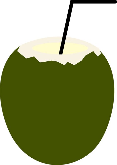 Green Coconut With Black Straw Vector Art At Vecteezy