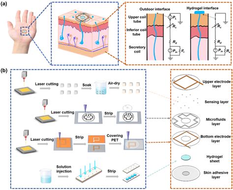 Schematic Diagram Of Microfluidic Sweat Sensing Patch A Model For