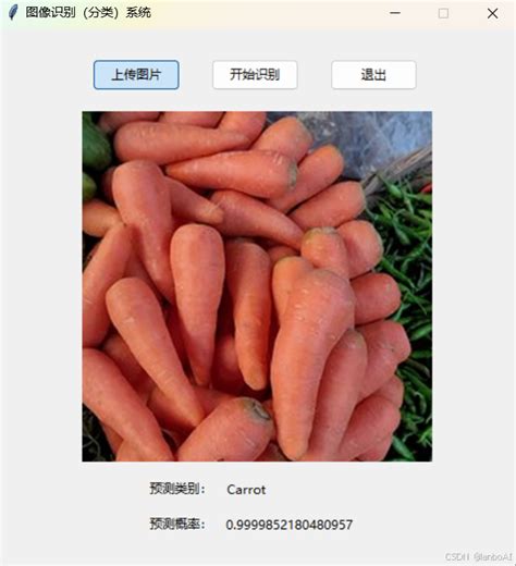 基于卷积神经网络的蔬菜识别系统，resnet50，mobilenet模型【pytorch框架python源码】 Ew帮帮网